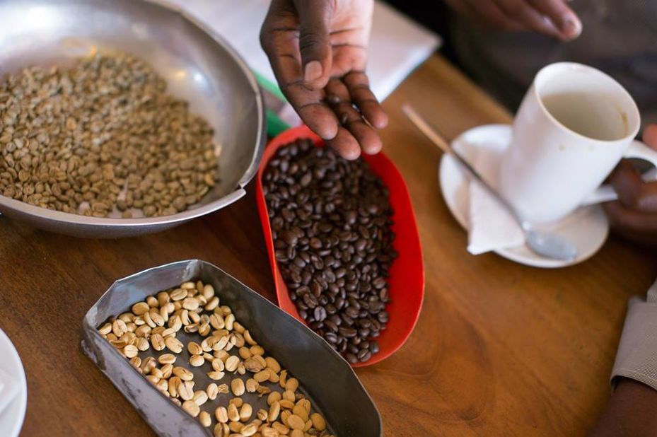 Arusha - Tanzania | PANGEA Travel