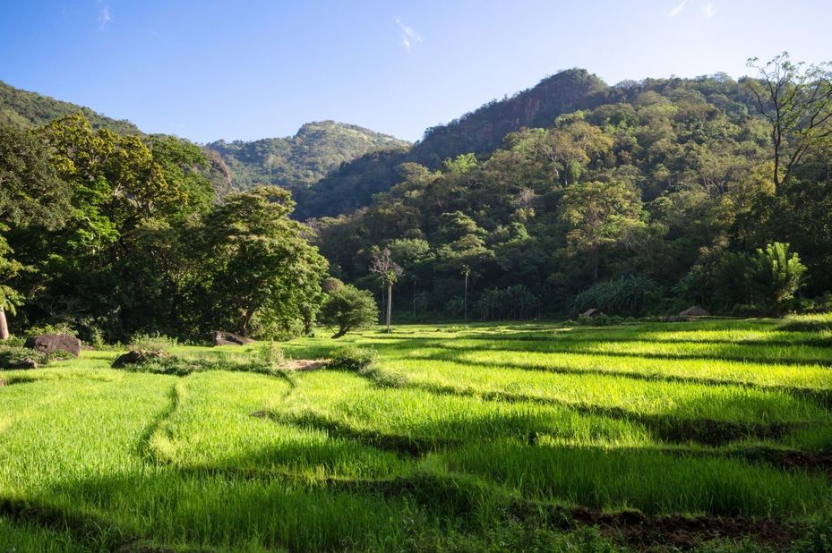 Knuckles Mountain Range - Sri Lanka | PANGEA Travel