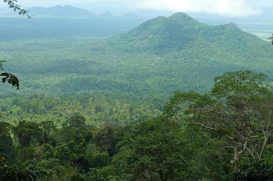 Cardamom Mountains - Cambodja | PANGEA Travel
