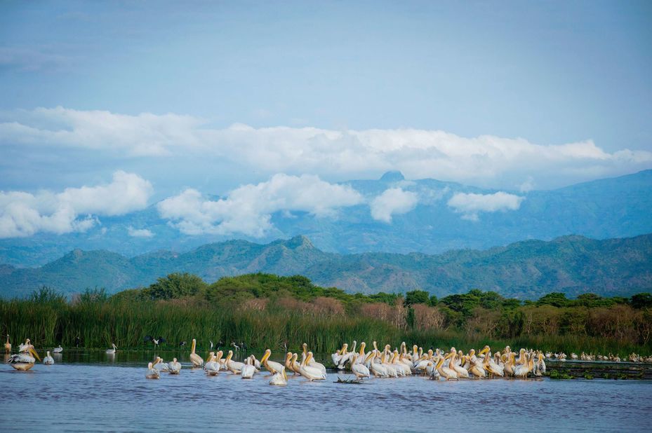 Lake Langano - Ethiopië | PANGEA Travel