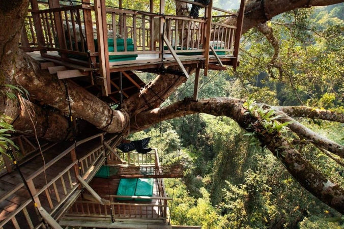 Gibbon Experience - Laos | PANGEA Travel