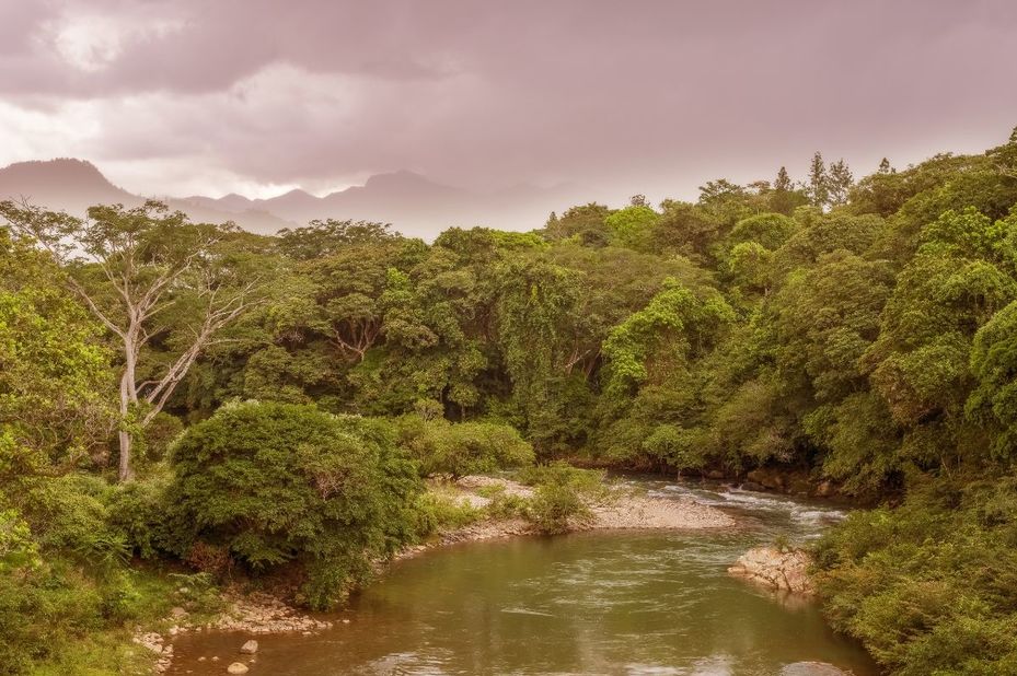Santa Fe - Panama | PANGEA Travel