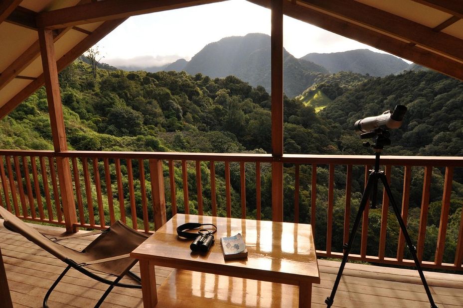Mount Totumas Cloud Forest - Panama | PANGEA Travel