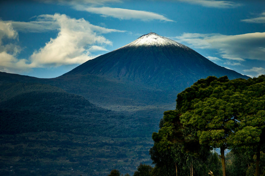 gorillatrekking - Rwanda - Volcanoes