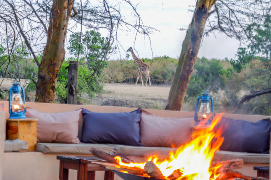 Zebra River Camp - Kenia | PANGEA Travel