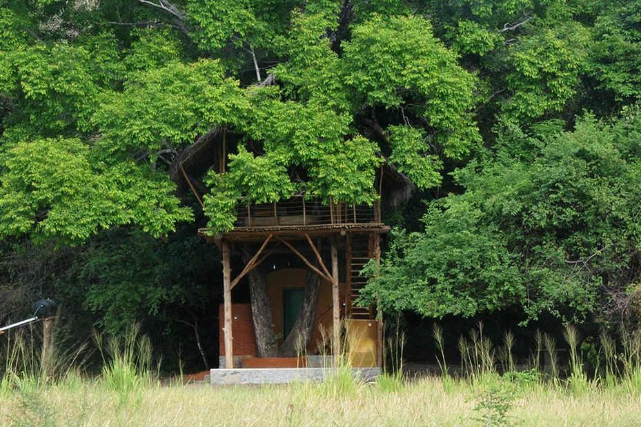 Duurzame rondreis Sri Lanka | PANGEA Travel