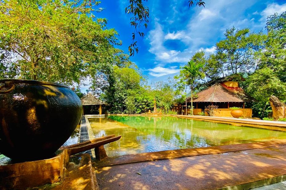 Rainforest Edge - Sri Lanka | PANGEA Travel